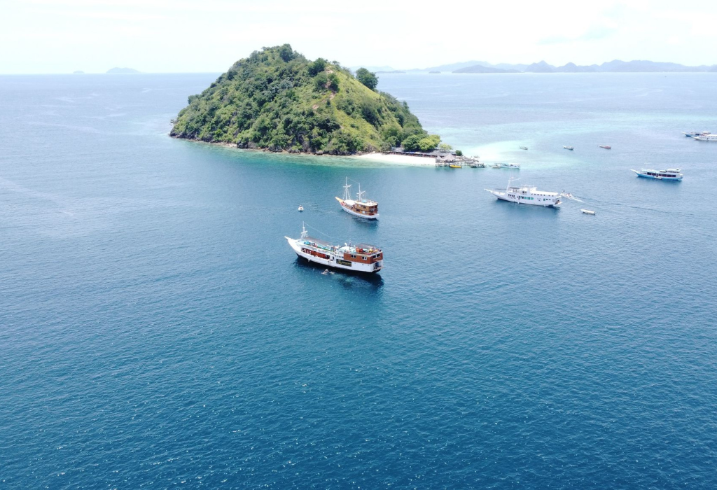 Explore Komodo Island: Your Ultimate Guide To A Budget-Friendly Tour ...